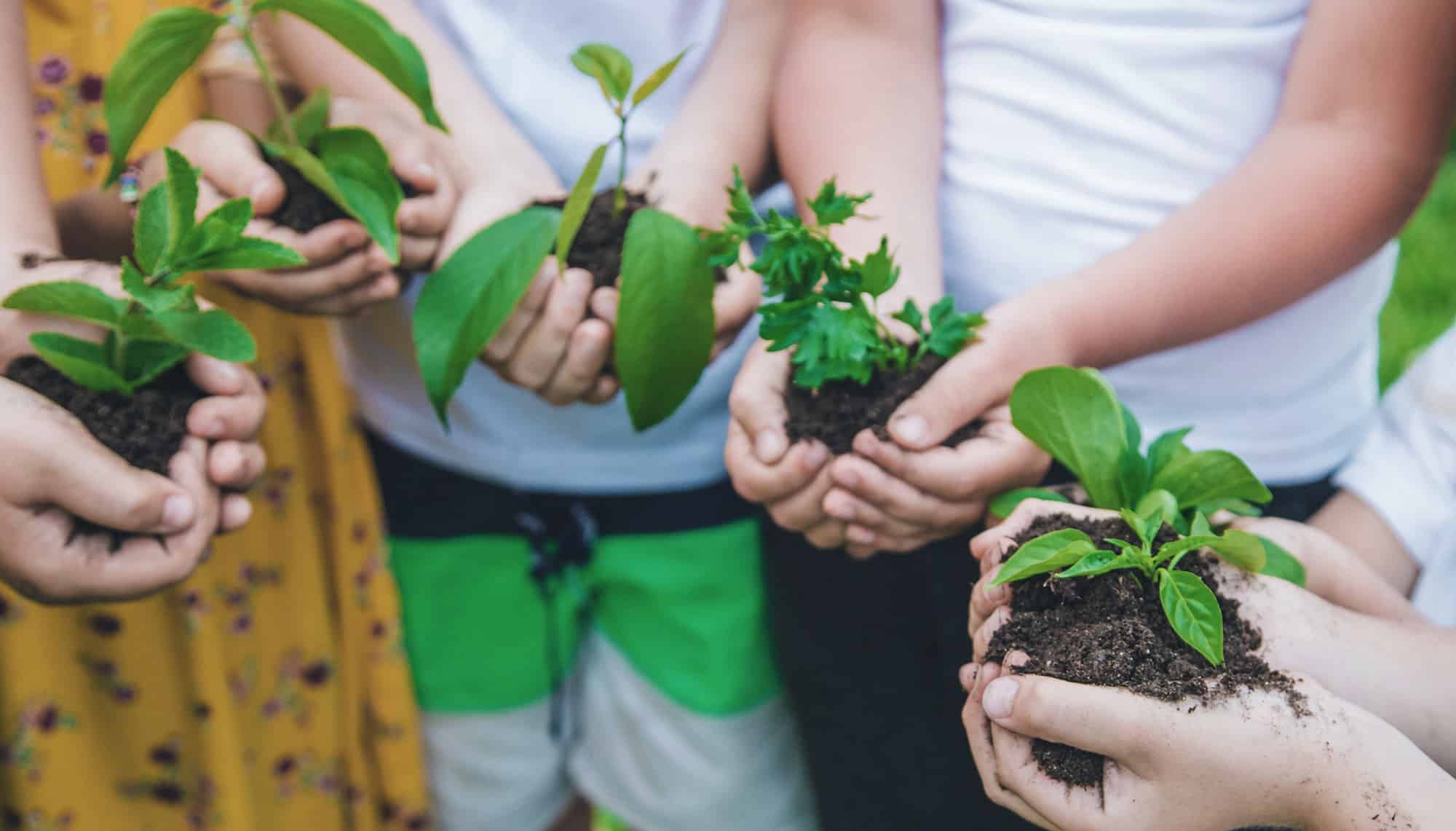 Sustainability Education - Green Flag School | Glendale Dubai